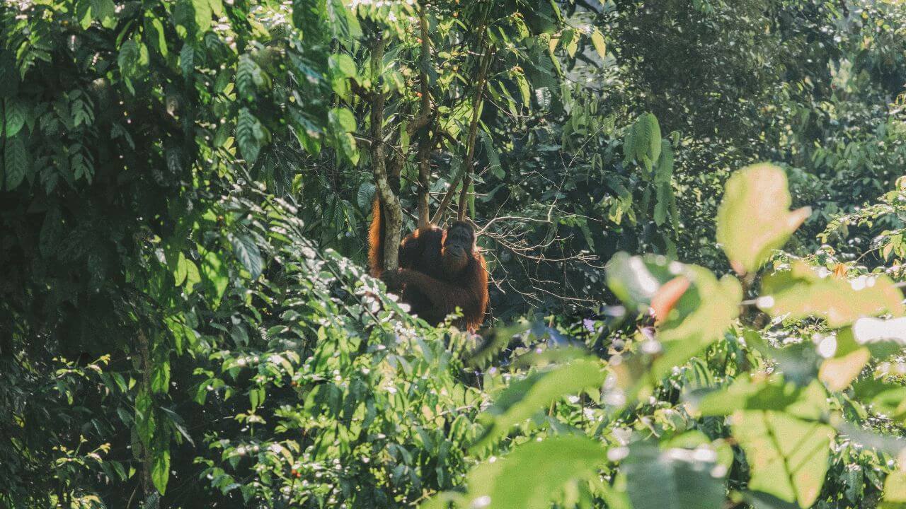 Best Outdoor Group Activities for All Ages in Asia - Grand Asia Tour
