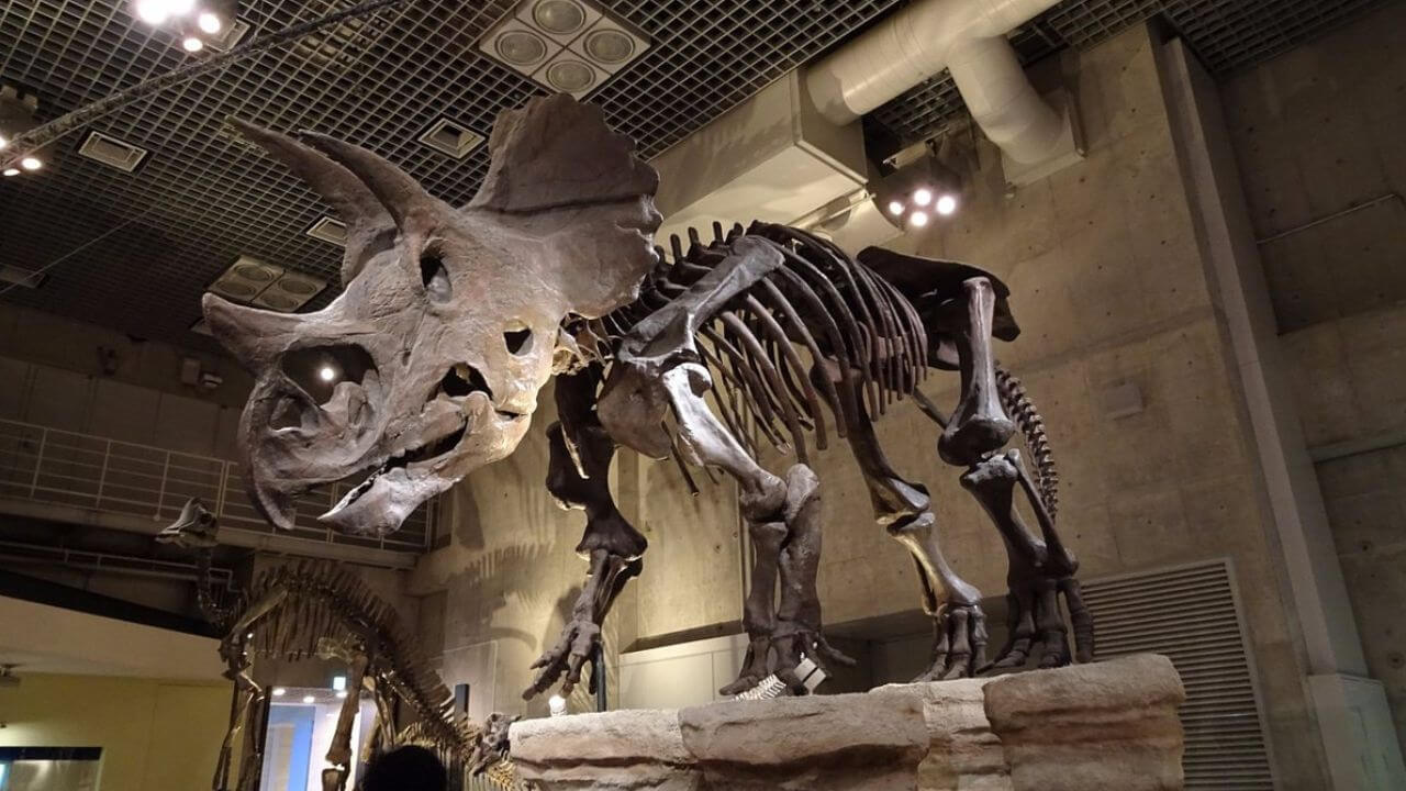Exploring 12 Best Museums and Interactive Exhibits in Asia - Grand Asia ...
